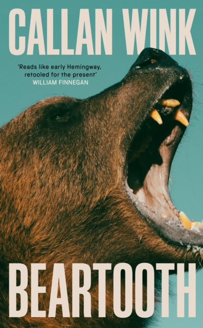 Beartooth – The Book Nook